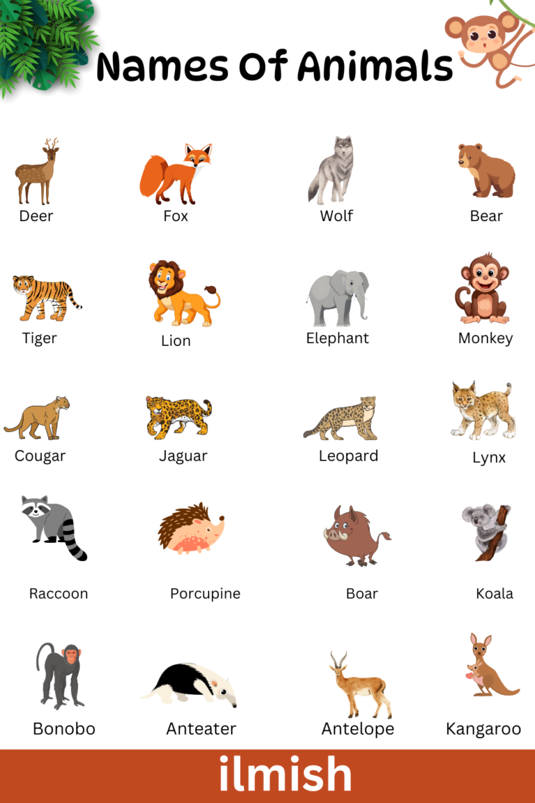 120 Names of Animals in English and their Pictures - ilmish
