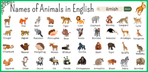120 Names of Animals in English and their Pictures - ilmish