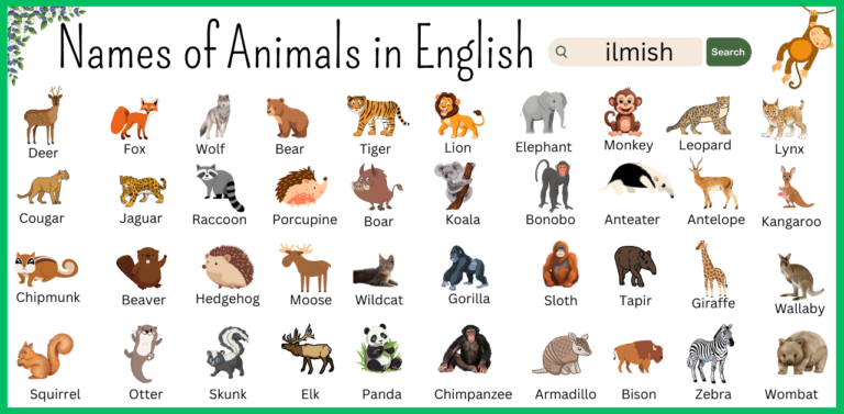120 Names of Animals in English and their Pictures - ilmish