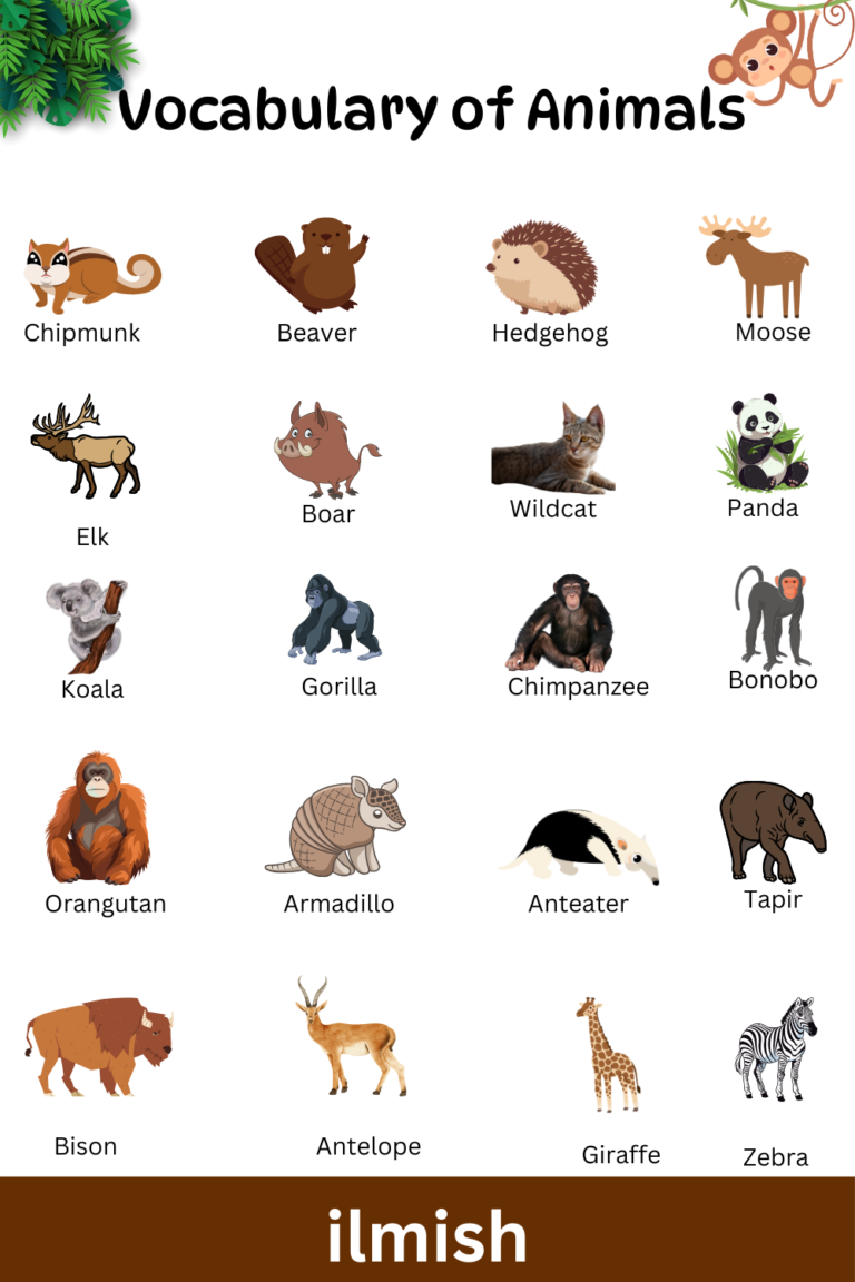 120 Names of Animals in English and their Pictures - ilmish
