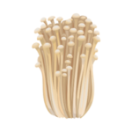 Types of Mushrooms Names in English and Pictures - ilmish