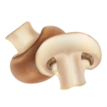 Types of Mushrooms Names in English and Pictures - ilmish