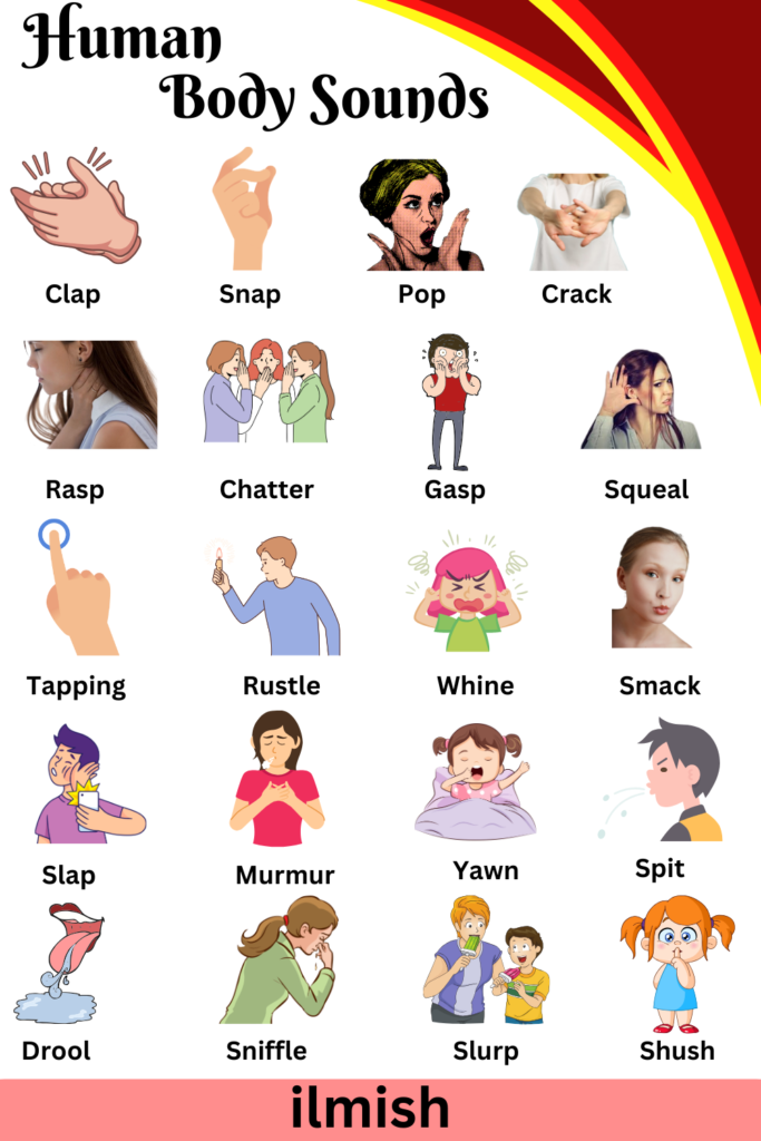 100 Human Body Sounds Names with Pictures in English - ilmish