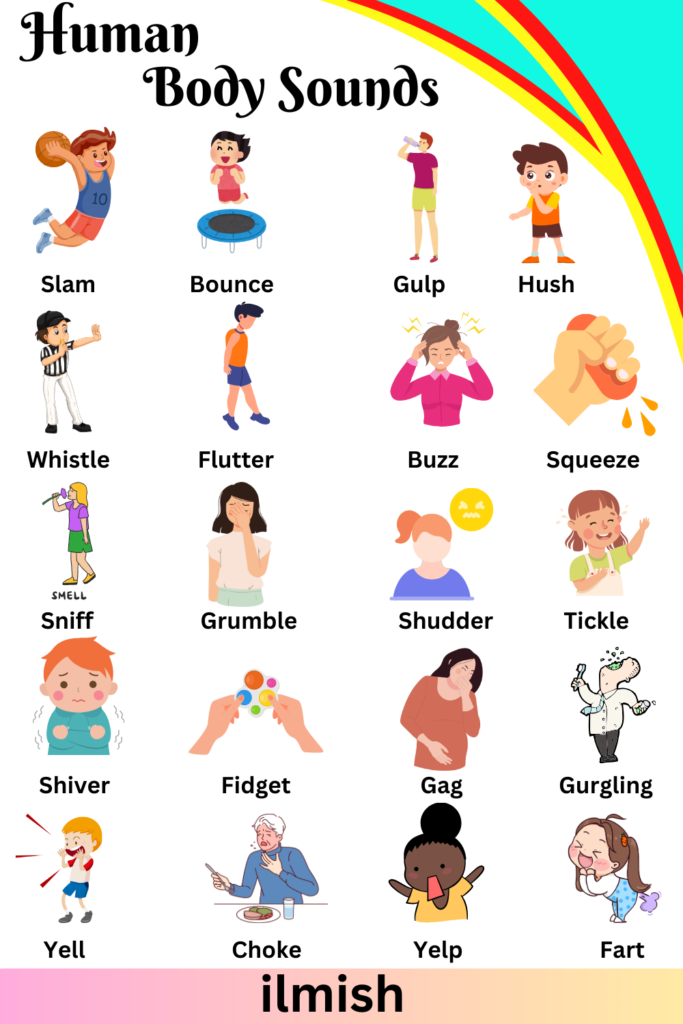 100 Human Body Sounds Names with Pictures in English - ilmish