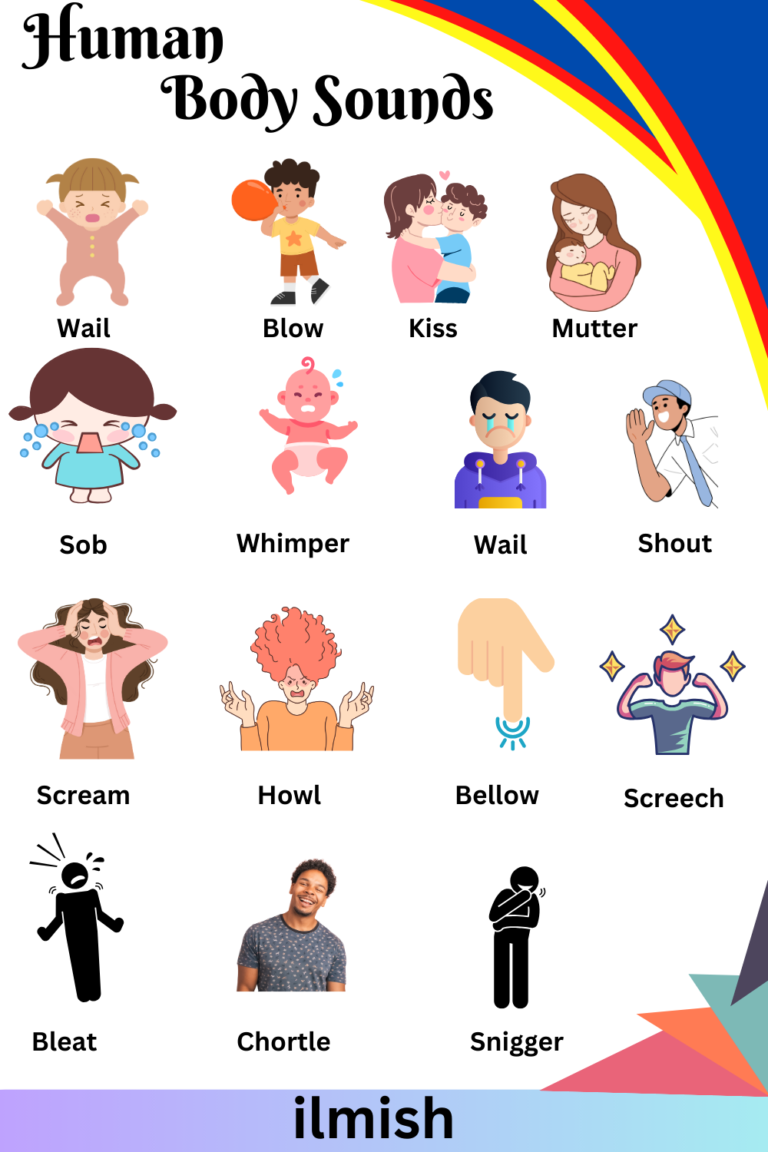 100 Human Body Sounds Names with Pictures in English - ilmish