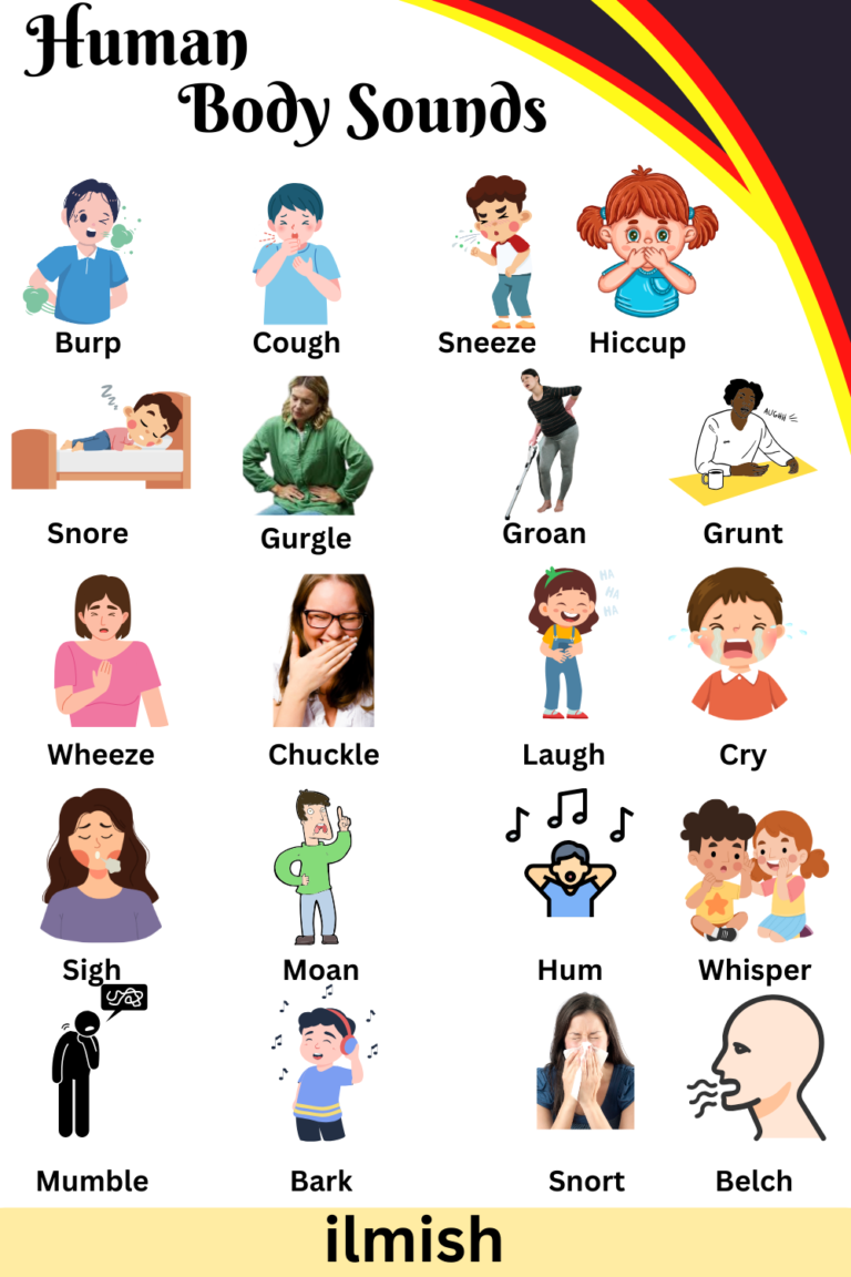 100 Human Body Sounds Names with Pictures in English - ilmish