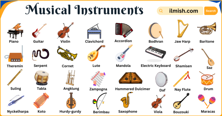 80+ Musical Instruments Names in English and Pictures - ilmish