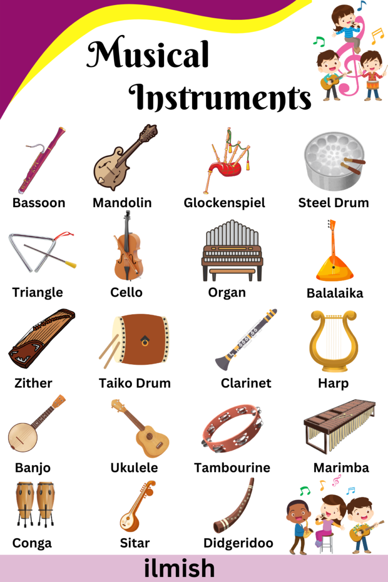 80+ Musical Instruments Names in English and Pictures - ilmish