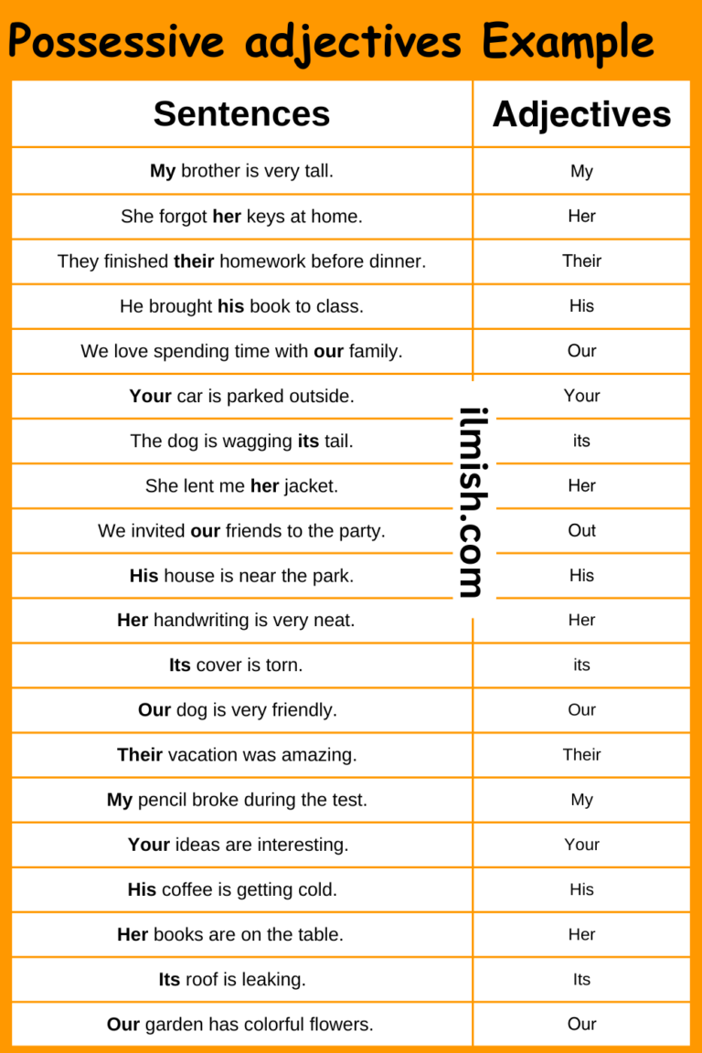 Possessive adjectives definition and Example Sentences - ilmish