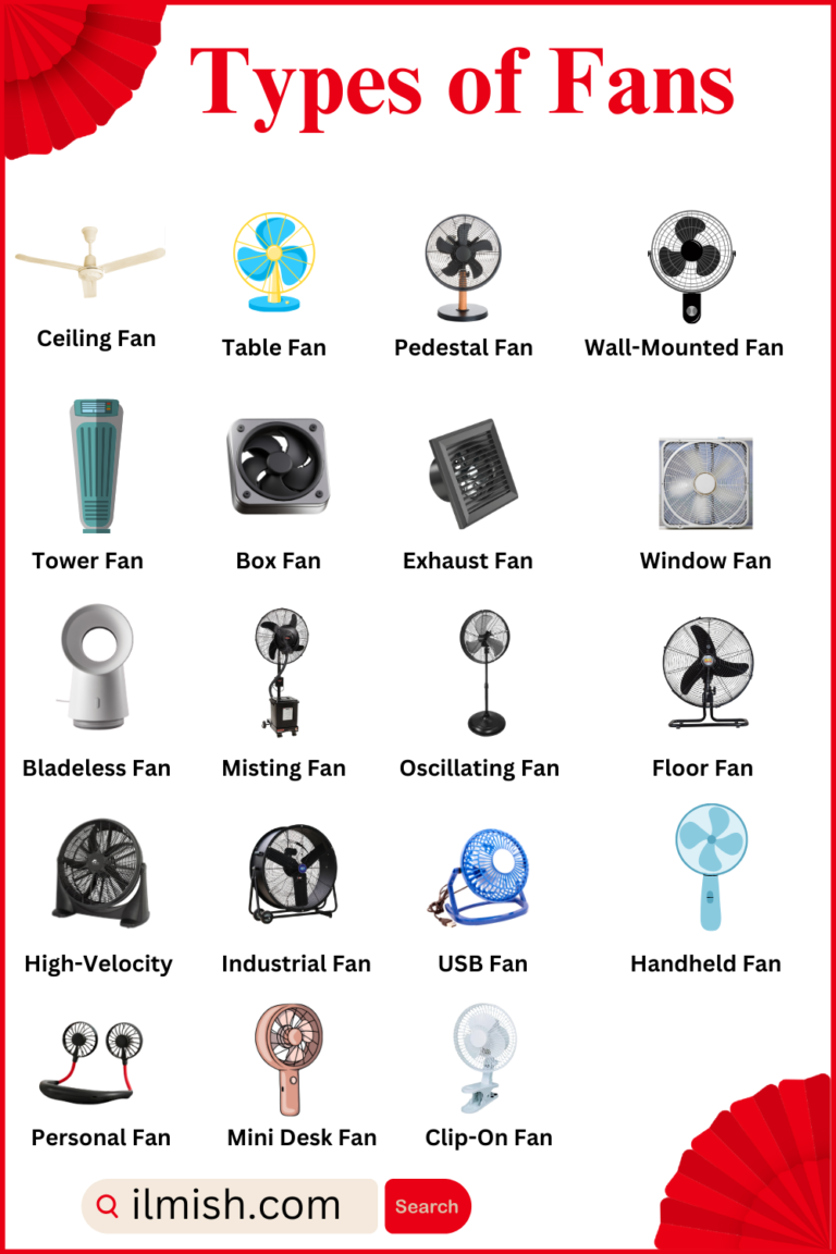 40 Types of Fans names in English with Pictures - ilmish