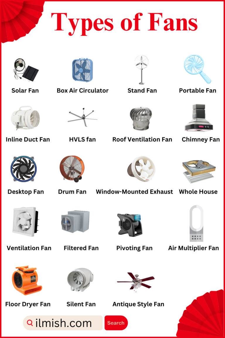40 Types of Fans names in English with Pictures - ilmish