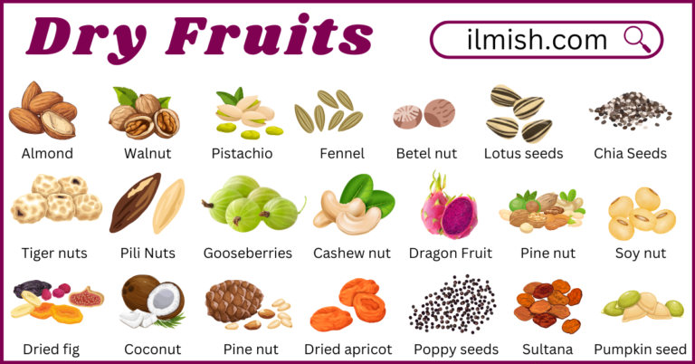 40 Dry fruits Names with Pictures in English - ilmish