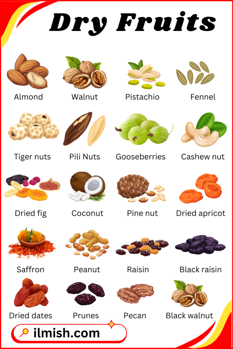 40 Dry fruits Names with Pictures in English - ilmish