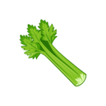 Different Vegetables Names in English and their Pictures - ilmish