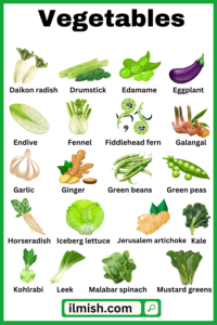 Different Vegetables Names in English and their Pictures - ilmish