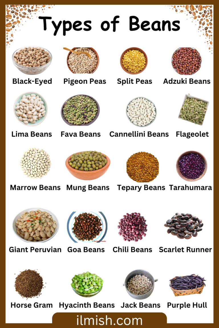 60 Types of Beans Names in English and Their Pictures - ilmish