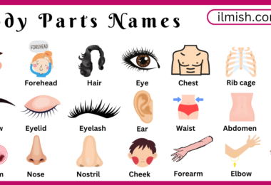 Colors Names in English and Their Pictures - ilmish