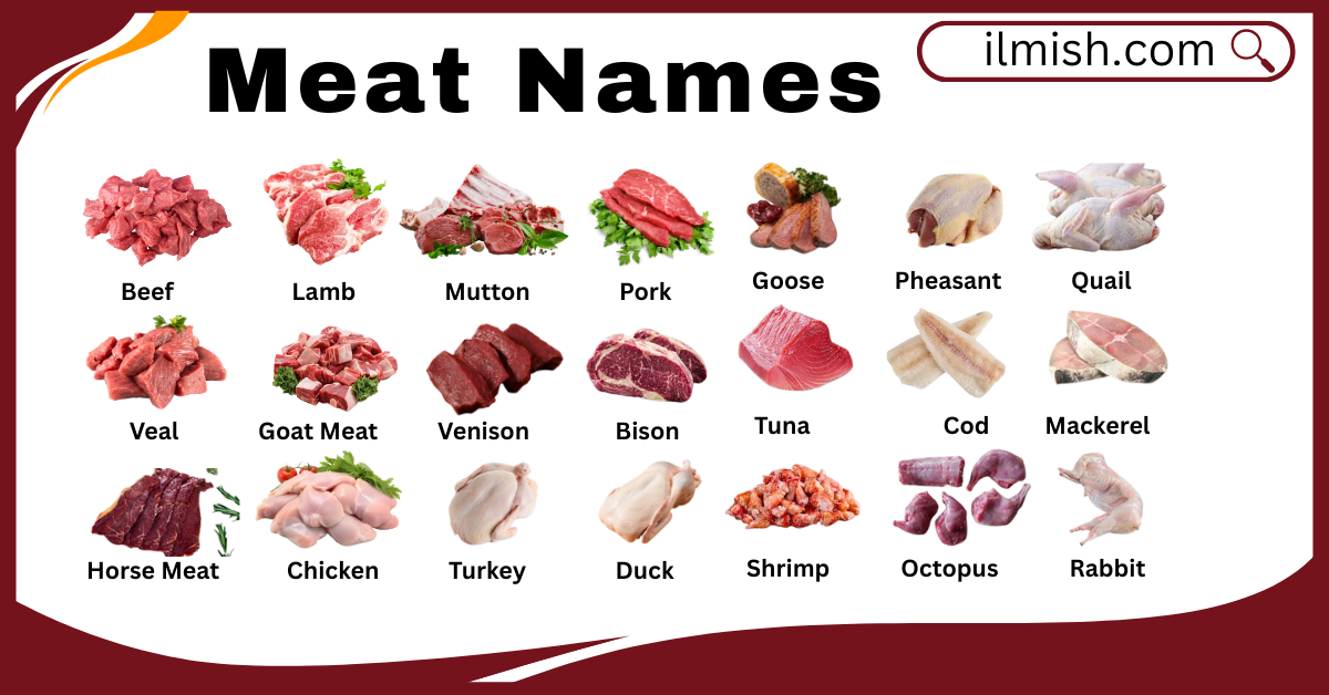 Different Types of Meat Names in English with Pictures - ilmish