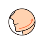 All Body Parts Names in English and their Pictures - ilmish