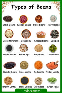 60 Types of Beans Names in English and Their Pictures - ilmish