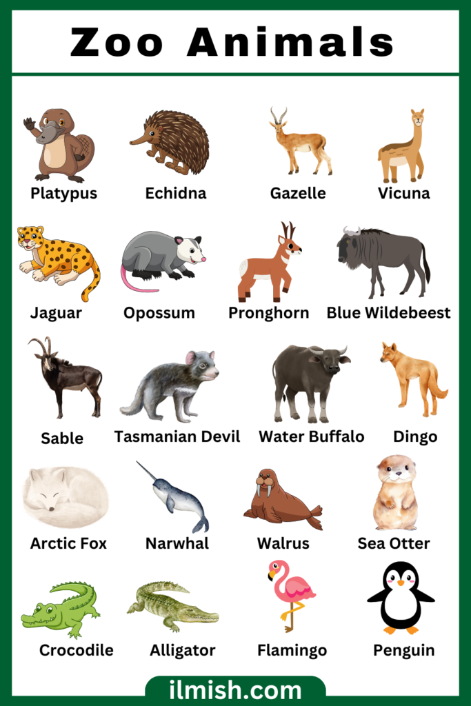 Zoo Animals Names in English with Their Pictures - ilmish