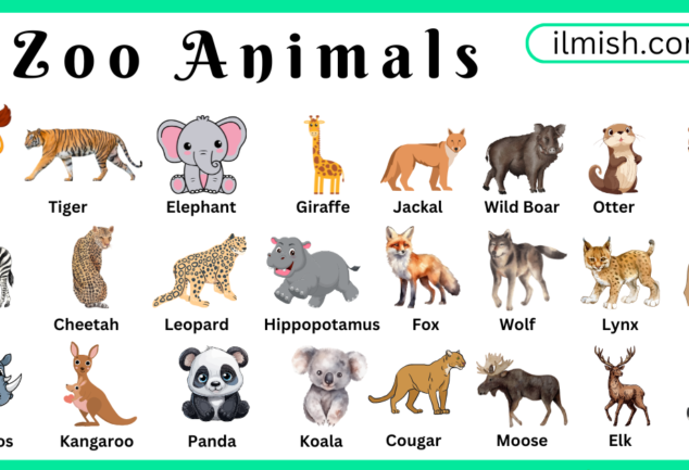 Colors Names in English and Their Pictures - ilmish