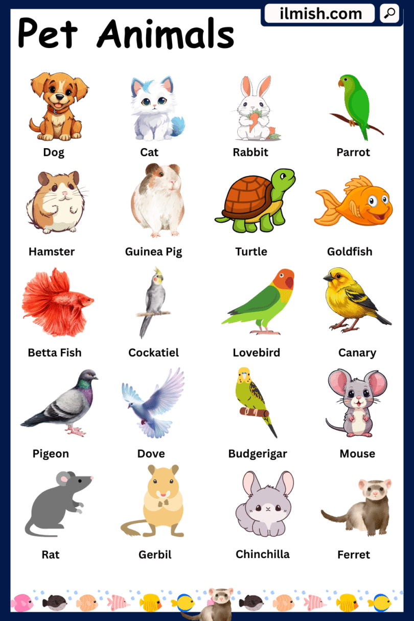 Names of Pet animals in English and their Pictures - ilmish