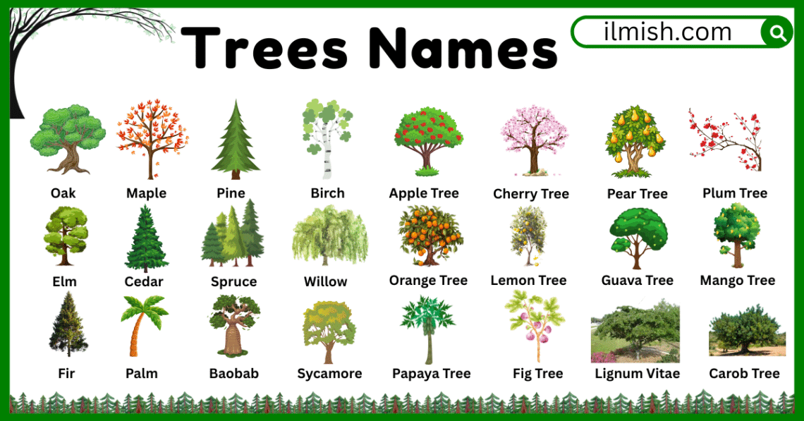 Names of Plants in English and Their Pictures - ilmish