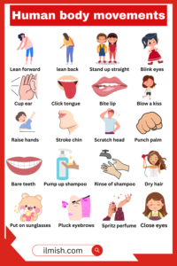 80 Human body movements names in English with Pictures - ilmish