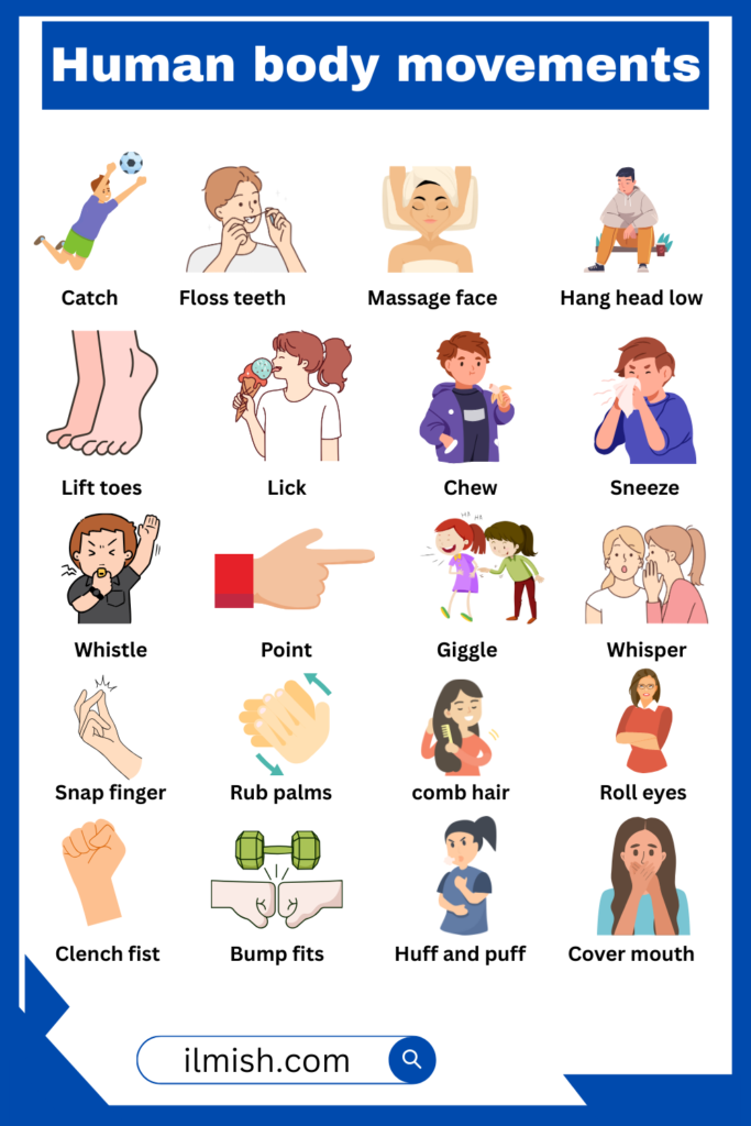 80 Human body movements names in English with Pictures - ilmish