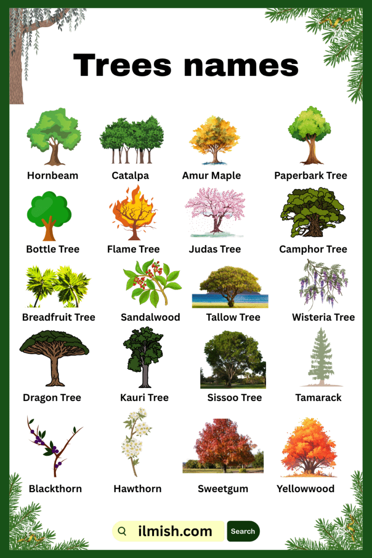 80 Trees Names in English and their Pictures - ilmish