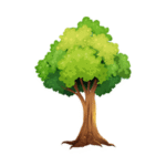 80 Trees Names in English and their Pictures - ilmish