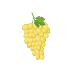 40 Yellow Fruits Names in English and their Pictures - ilmish