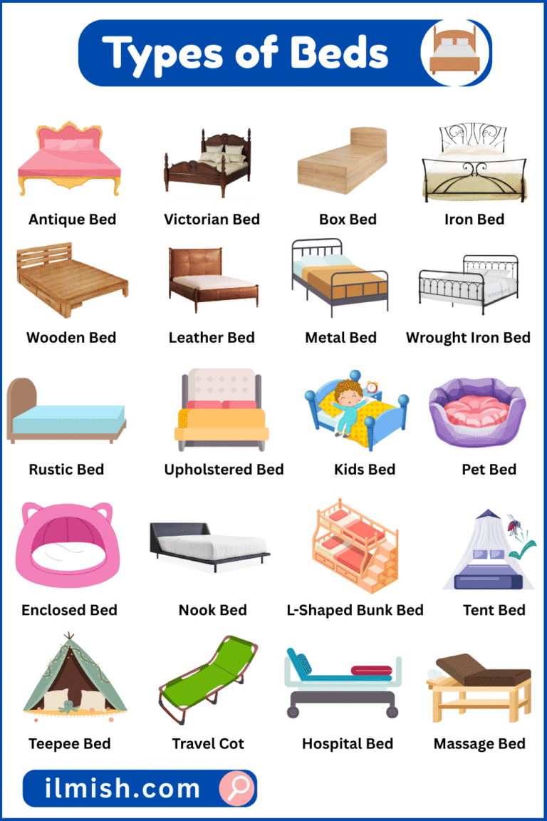 Different Types of Beds Names in English with Their Pictures - ilmish