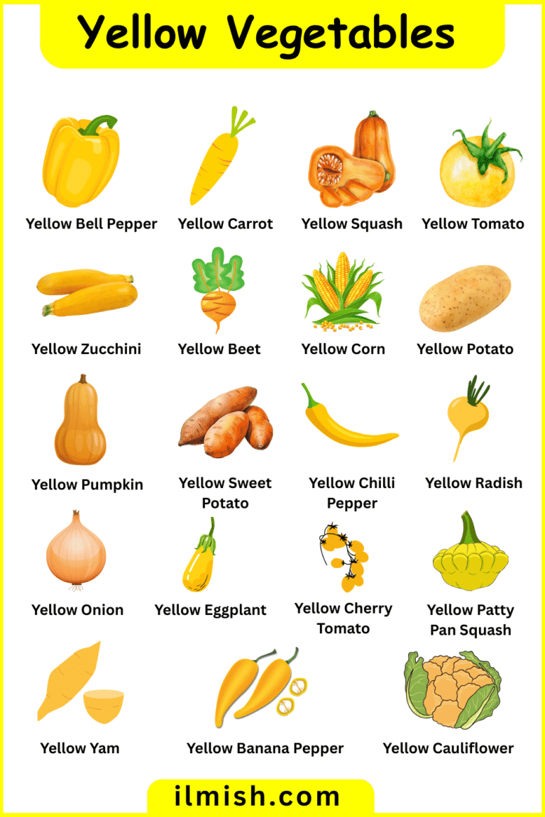 Names of Yellow Vegetables in English with Their Pictures - ilmish