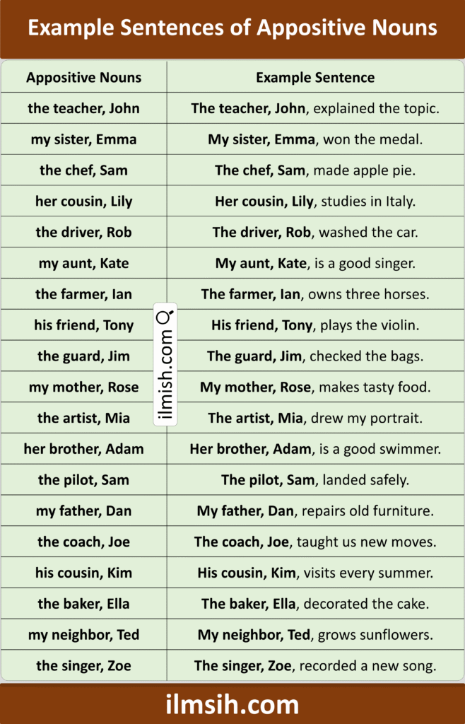 Example Sentences of Appositive Nouns in English with Pictures - ilmish