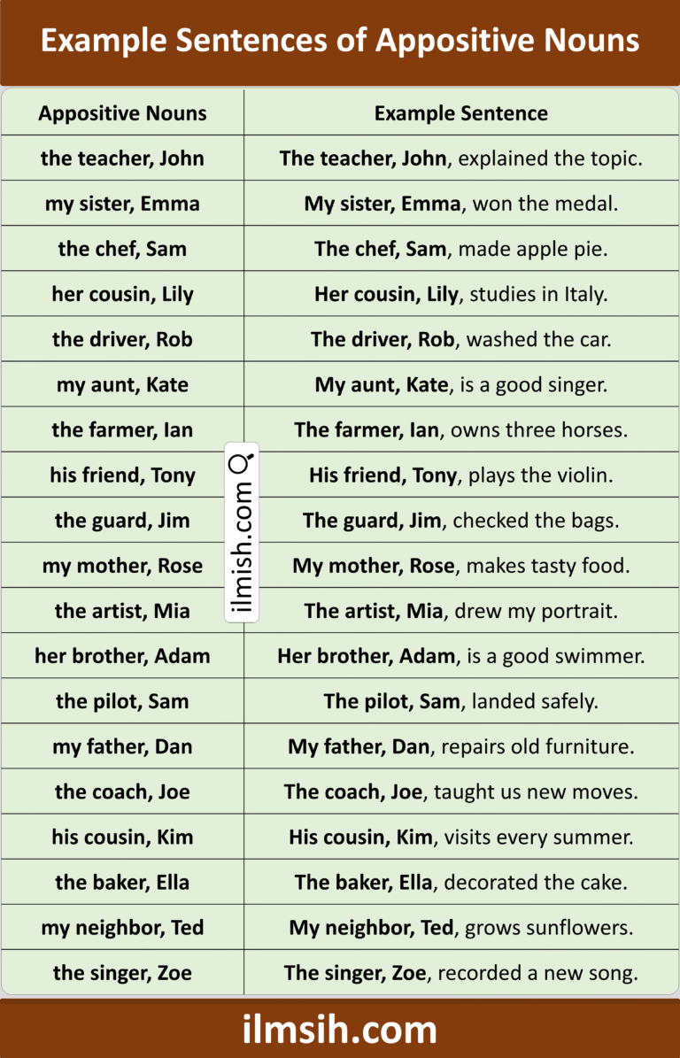 Example Sentences of Appositive Nouns in English with Pictures - ilmish