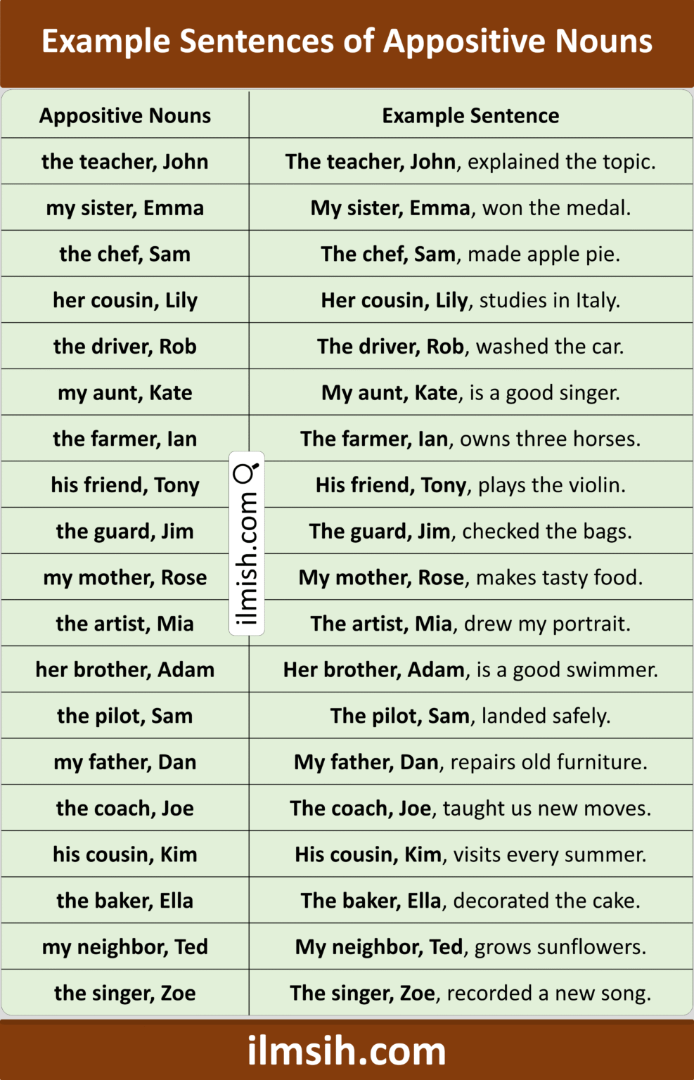 Example Sentences of Appositive Nouns in English with Pictures - ilmish