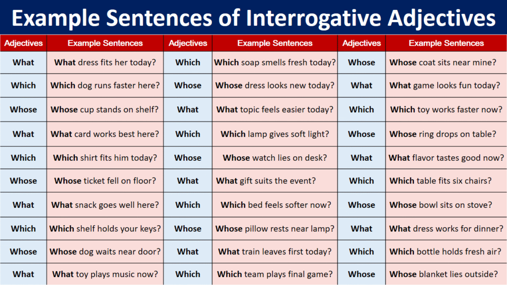 100 Example Sentences of Interrogative Adjectives in English - ilmish