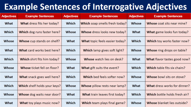 100 Example Sentences of Interrogative Adjectives in English - ilmish