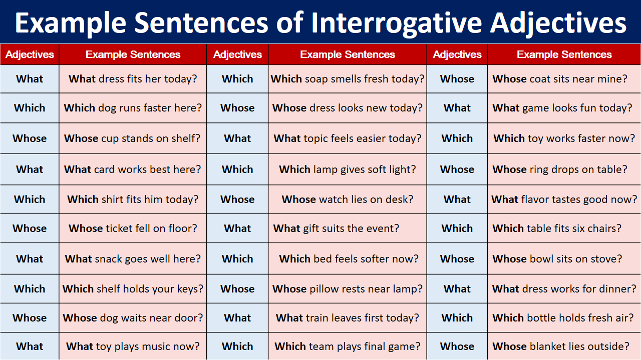 100 Example Sentences of Interrogative Adjectives in English - ilmish