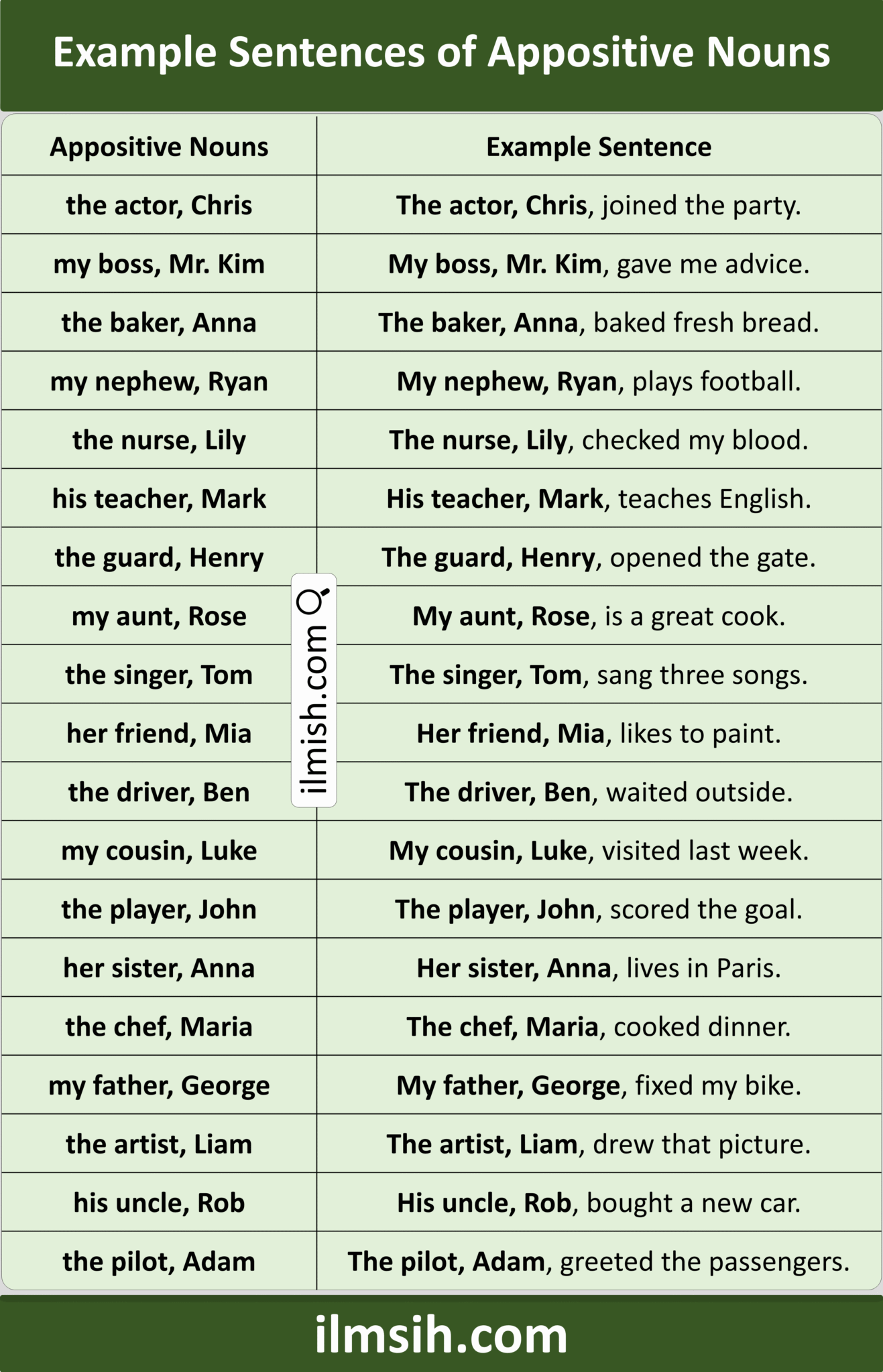 Example Sentences of Appositive Nouns in English with Pictures - ilmish