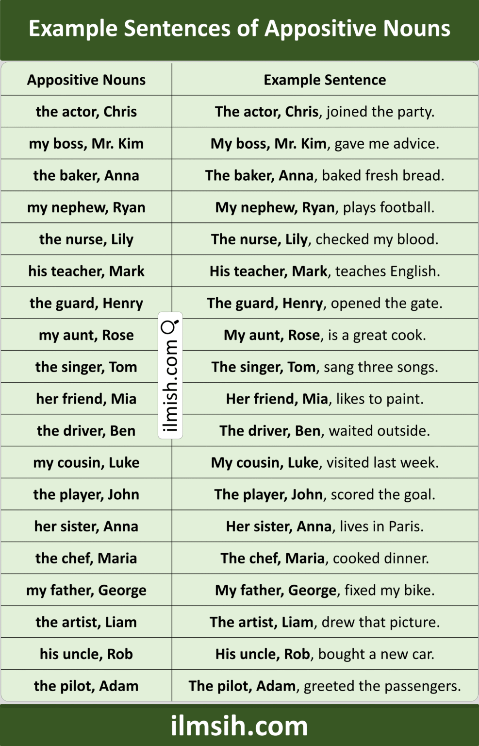 Example Sentences of Appositive Nouns in English with Pictures - ilmish