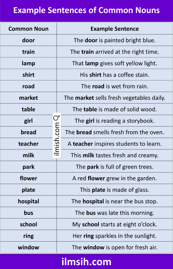 Example Sentences of Common Nouns in English with Pictures - ilmish
