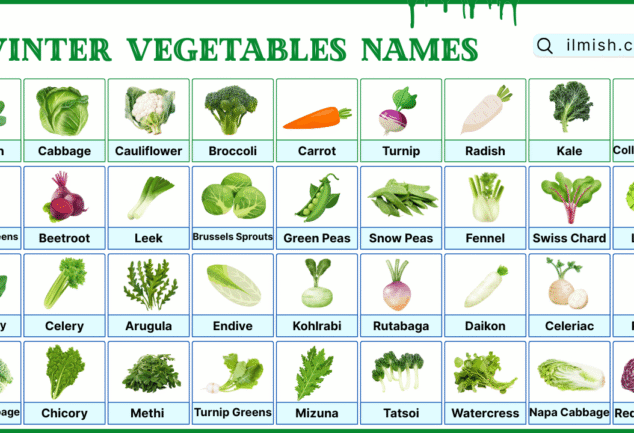 Types of Root Vegetables Names in English and Their pictures - ilmish