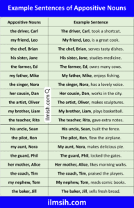 Example Sentences of Appositive Nouns in English with Pictures - ilmish