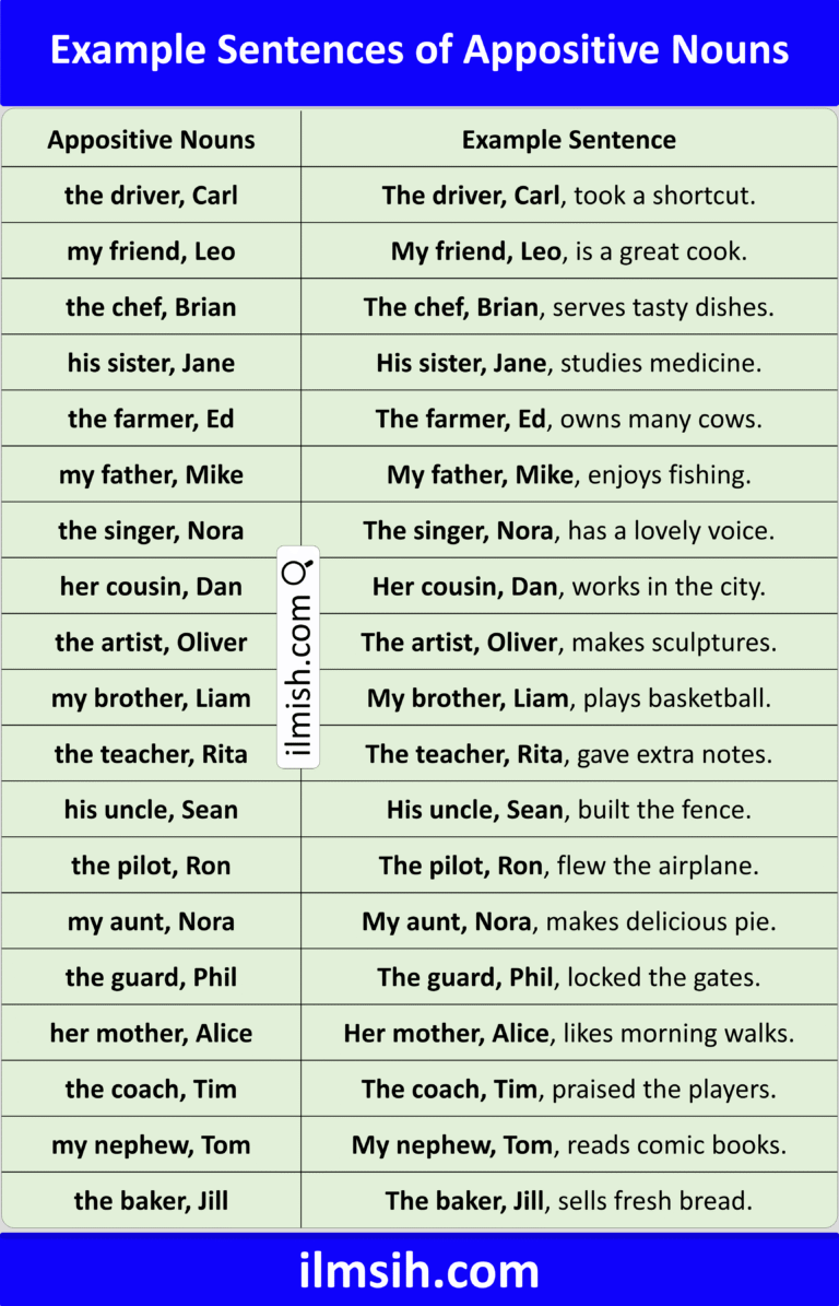 Example Sentences of Appositive Nouns in English with Pictures - ilmish