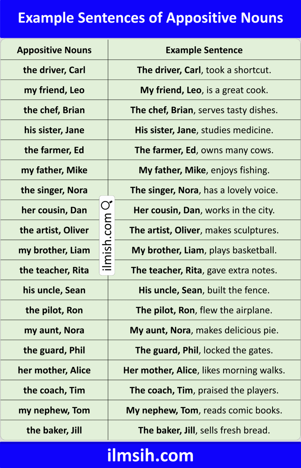 Example Sentences of Appositive Nouns in English with Pictures - ilmish