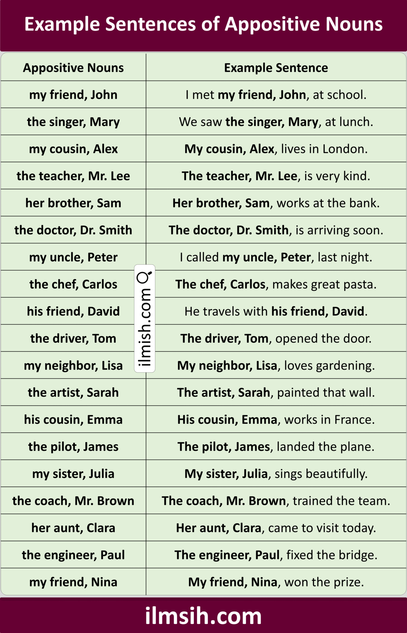 Example Sentences of Appositive Nouns in English with Pictures - ilmish