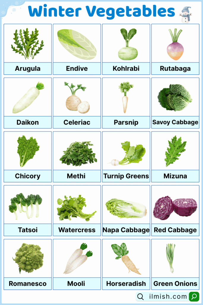 60 Names of Winter Vegetables in English with Their Pictures - ilmish